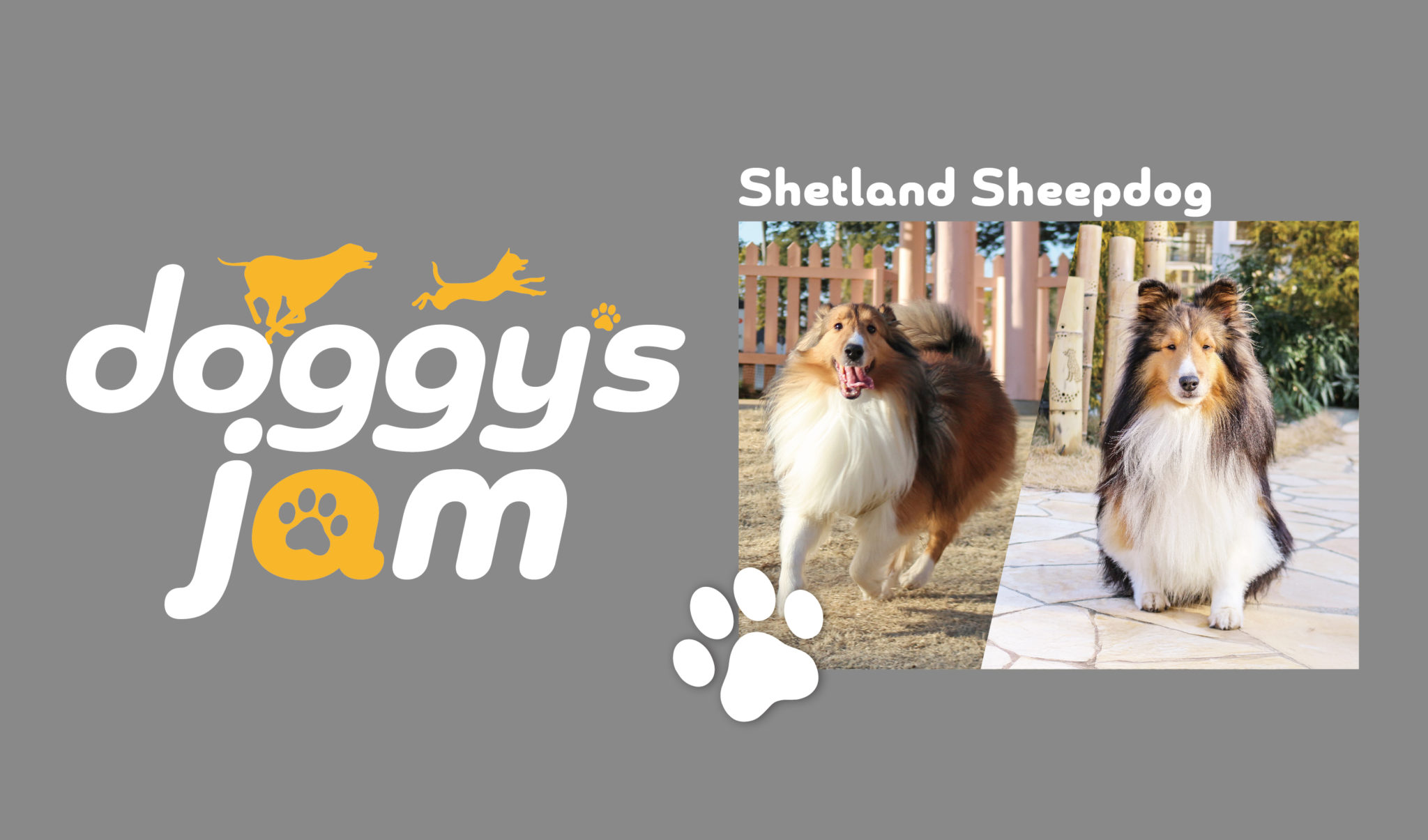 【公式】小谷流の里 ドギーズアイランド《ベストレート保証》